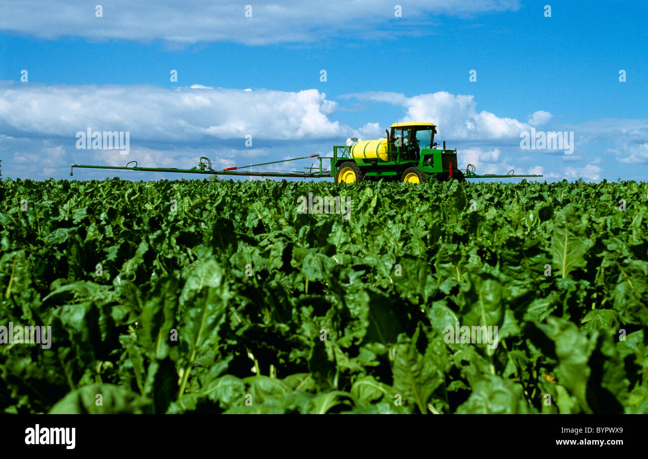 Chemical application high clearance sprayer hi-res stock photography ...