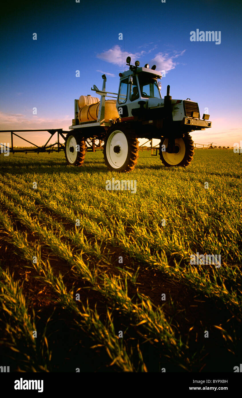 Chemical application high clearance sprayer hi-res stock photography ...