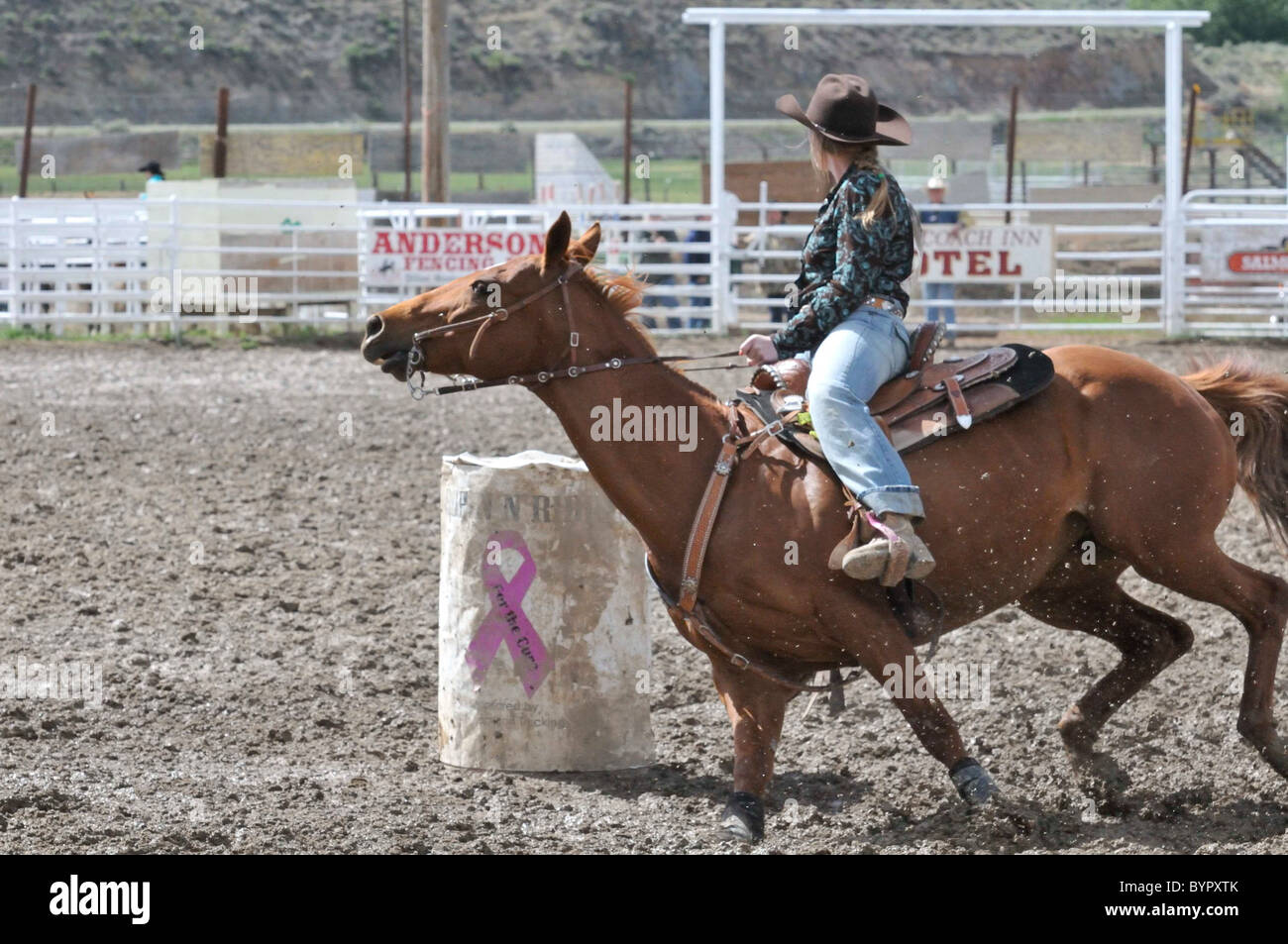 Barrel race rodeo girl hi-res stock photography and images - Alamy