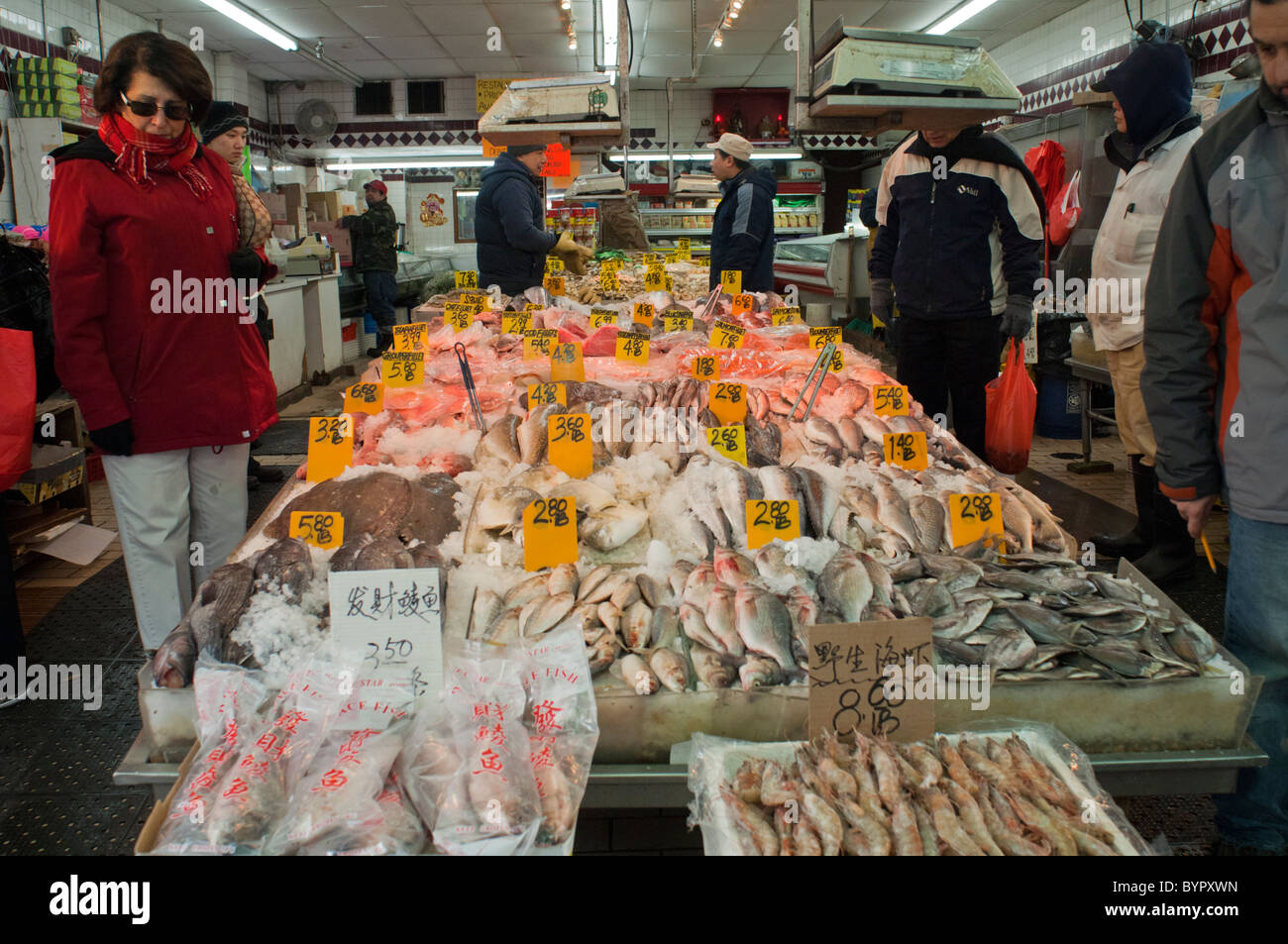 Shoppers at a fish store in Chinatown in New York Stock Photo - Alamy