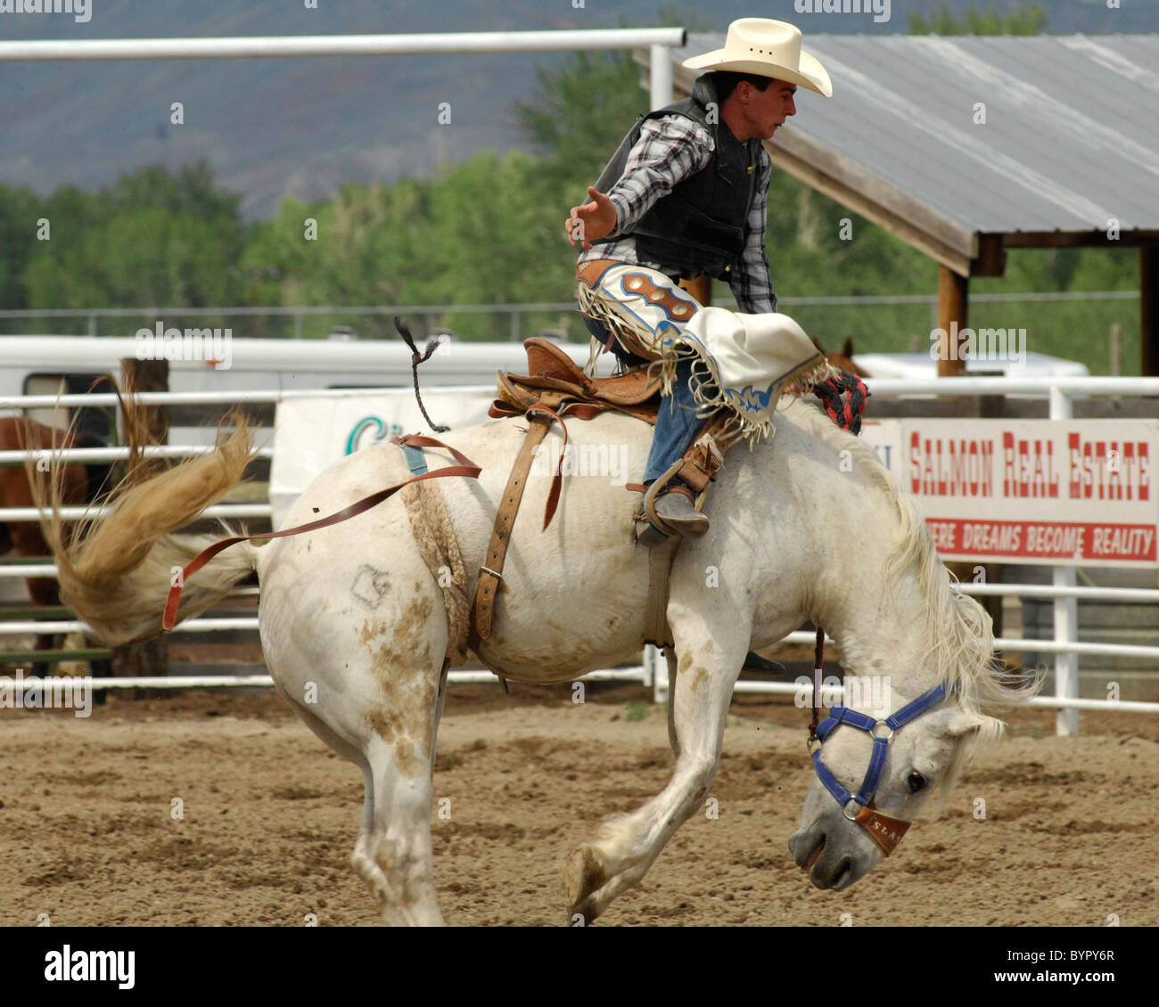 Bronc Riding, Rodeo, Salmon, Idaho Stock Photo - Alamy