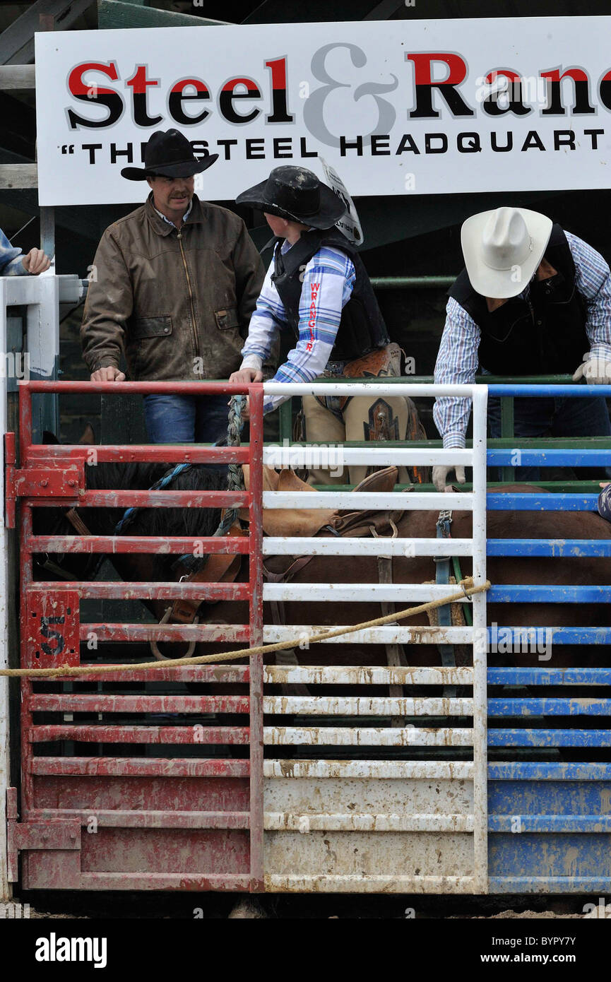 Bronc Riding, Rodeo, Salmon, Idaho Stock Photo - Alamy