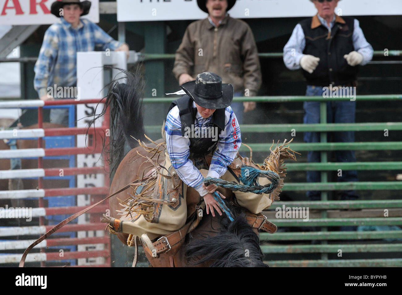 Bronc Riding, Rodeo, Salmon, Idaho Stock Photo - Alamy