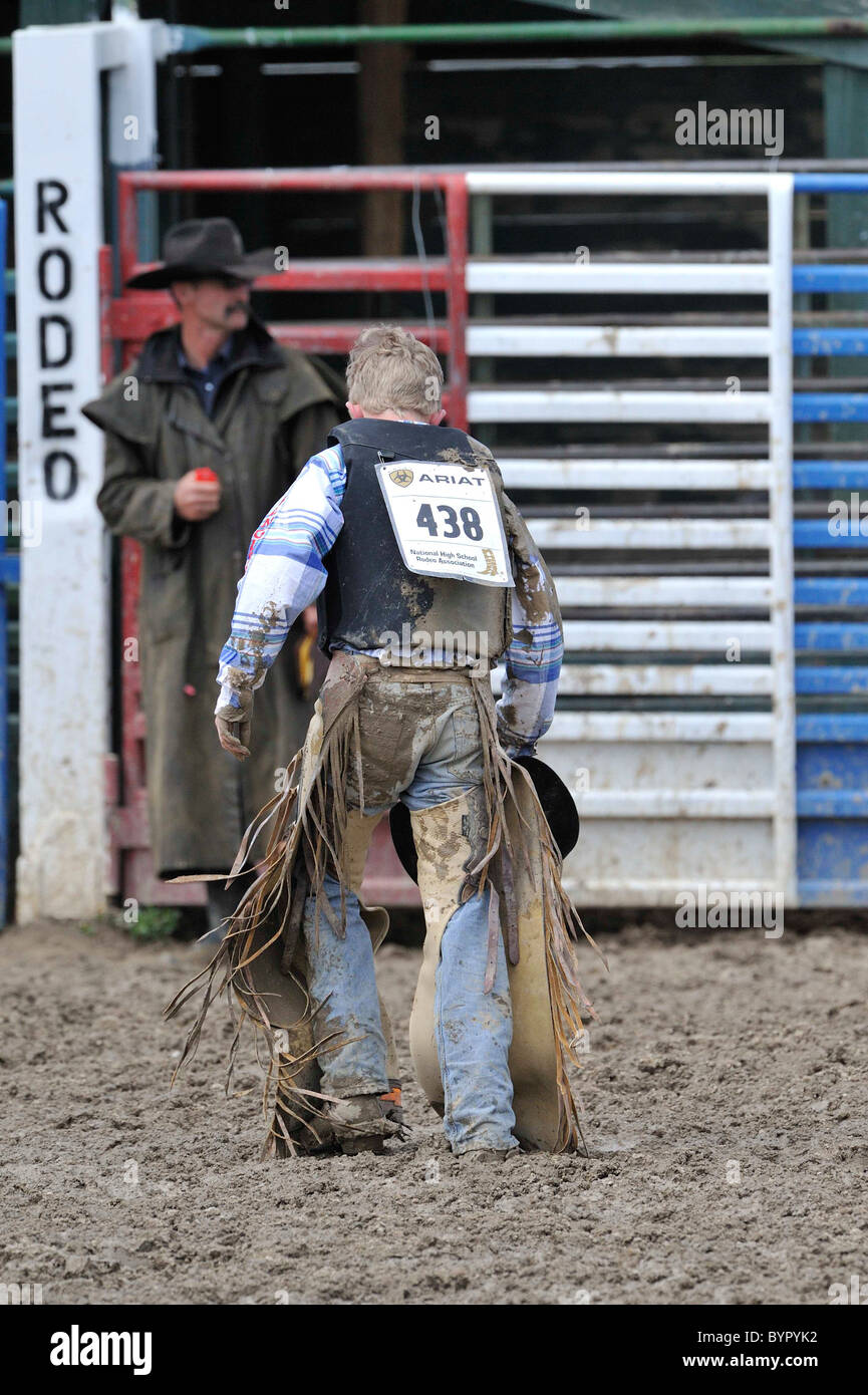 Bronc Riding, Rodeo, Salmon, Idaho Stock Photo - Alamy