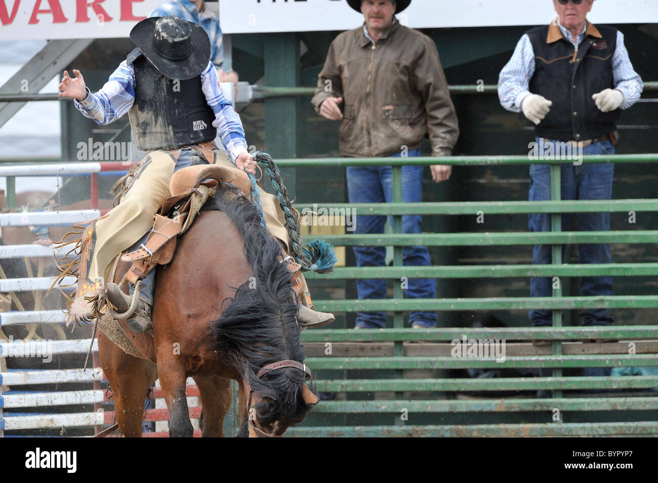 Bronc Riding, Rodeo, Salmon, Idaho Stock Photo - Alamy