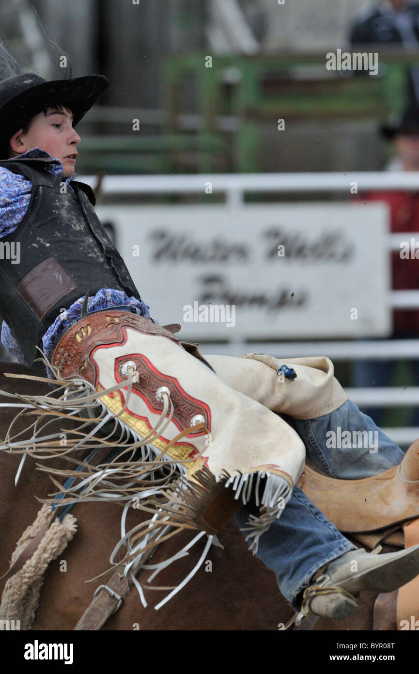Bronc Riding, Rodeo, Salmon, Idaho Stock Photo - Alamy