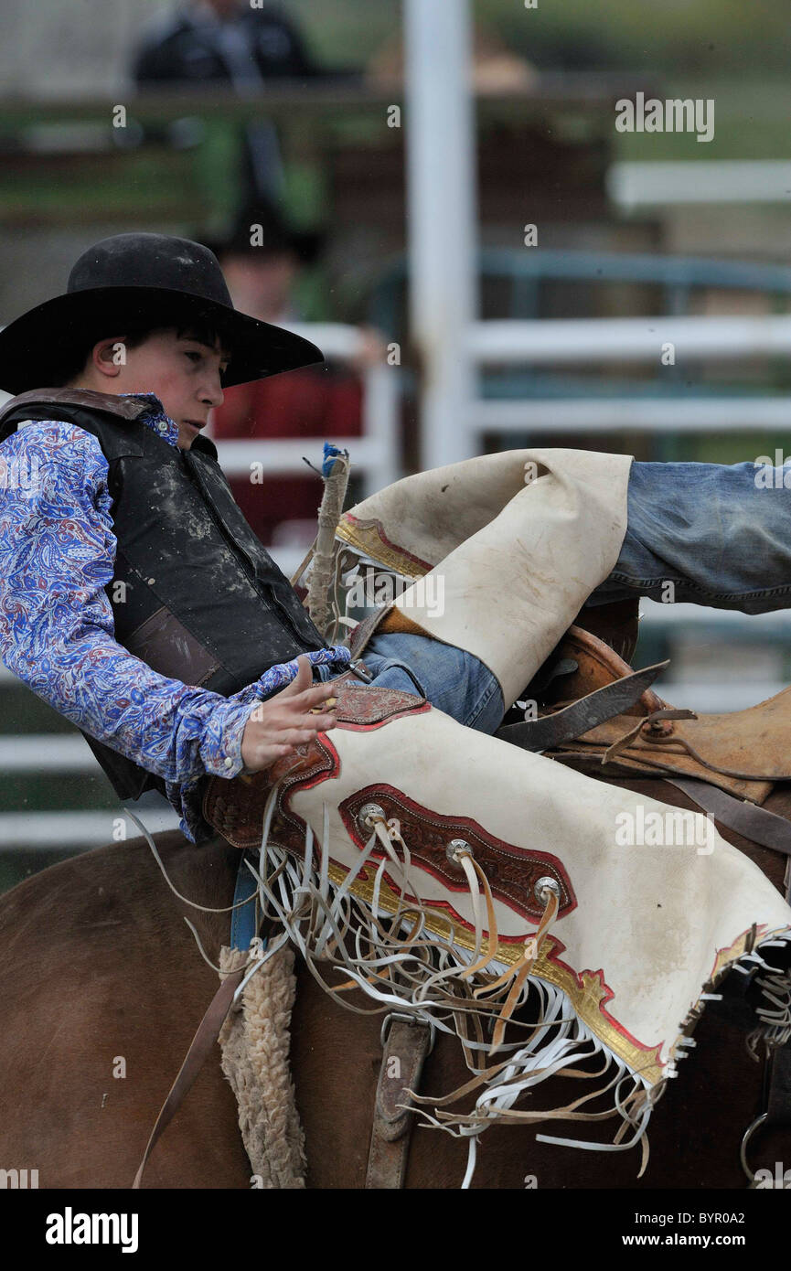 Bronc Riding, Rodeo, Salmon, Idaho Stock Photo - Alamy