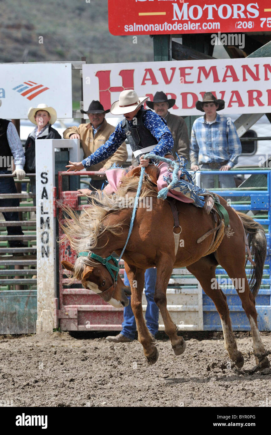 Bronc Riding, Rodeo, Salmon, Idaho Stock Photo - Alamy