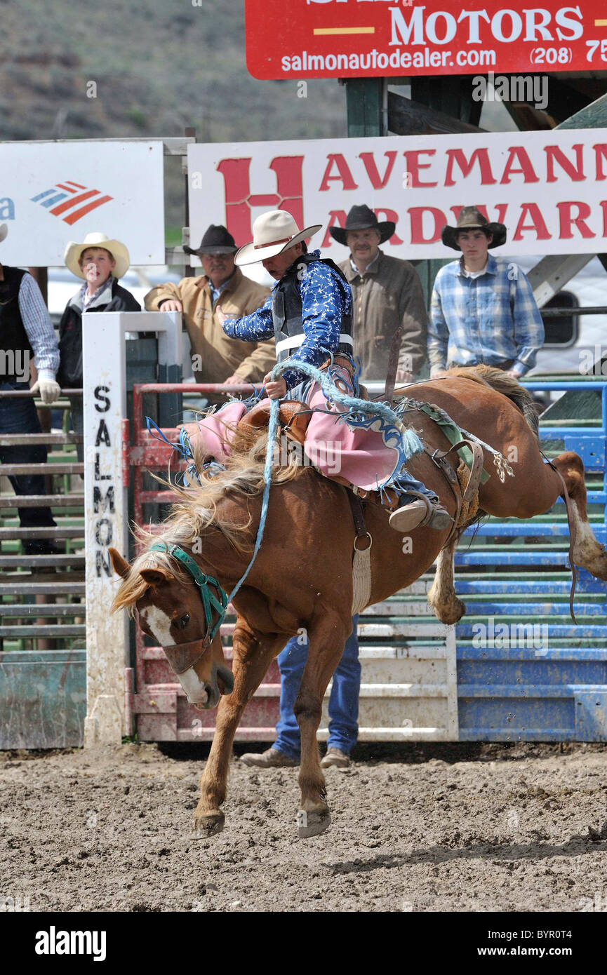 Bronc Riding, Rodeo, Salmon, Idaho Stock Photo - Alamy
