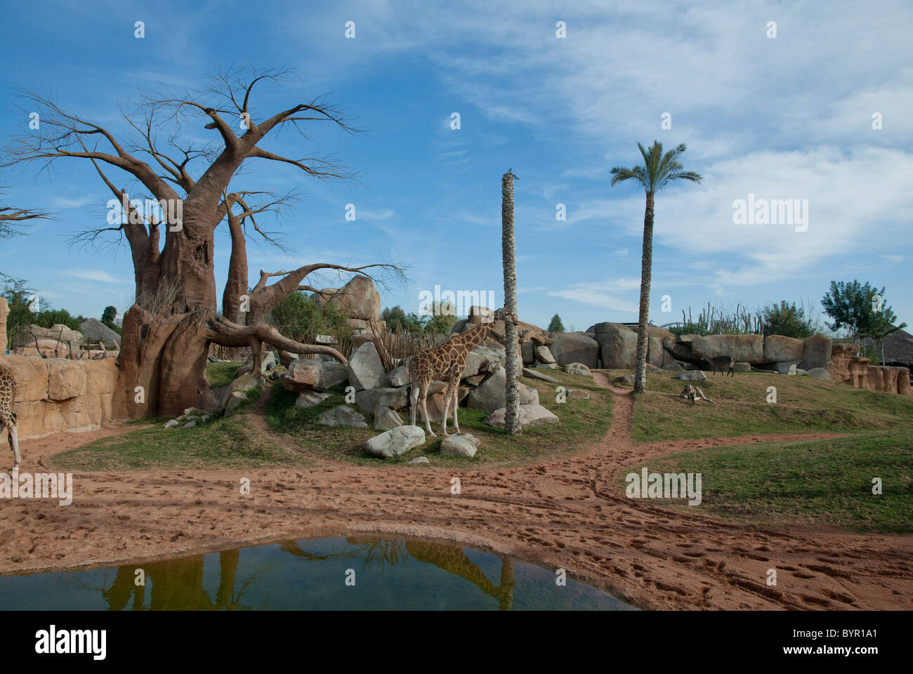 Bioparc Valencia spain Stock Photo - Alamy
