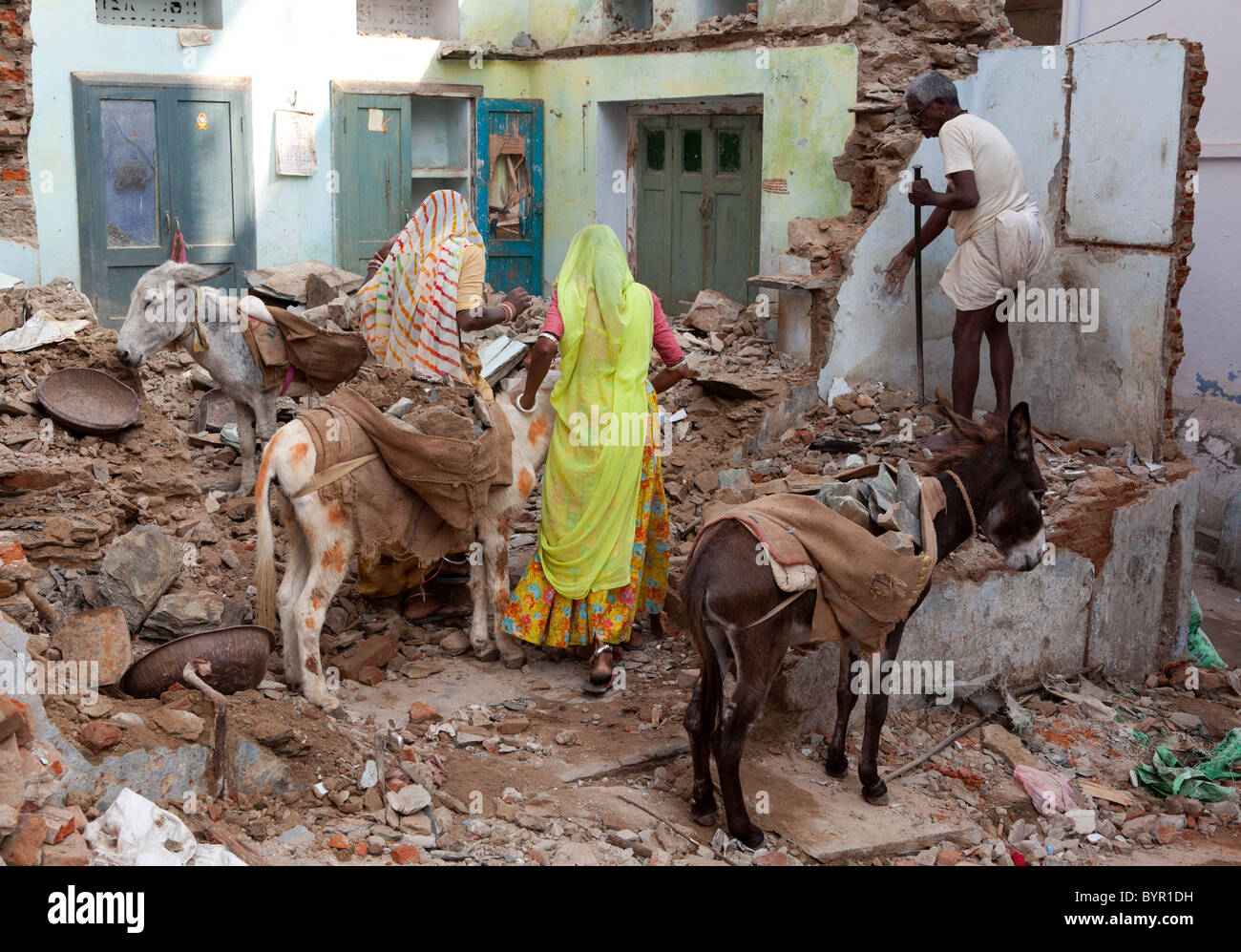 india, Rajasthan, Udaipur, people and donkeys rebuilding derelict house ...