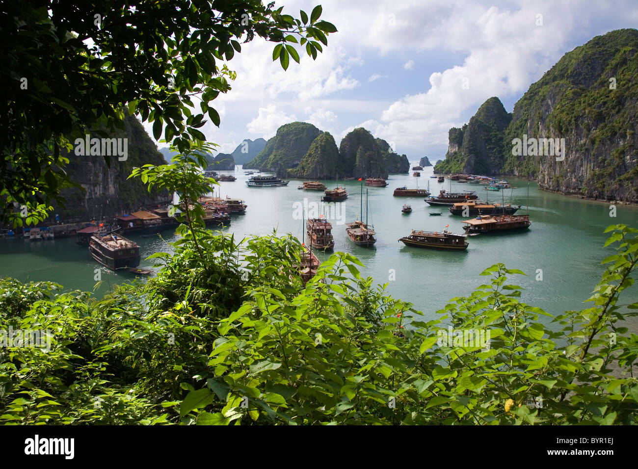 Cave ecosystems hi-res stock photography and images - Alamy