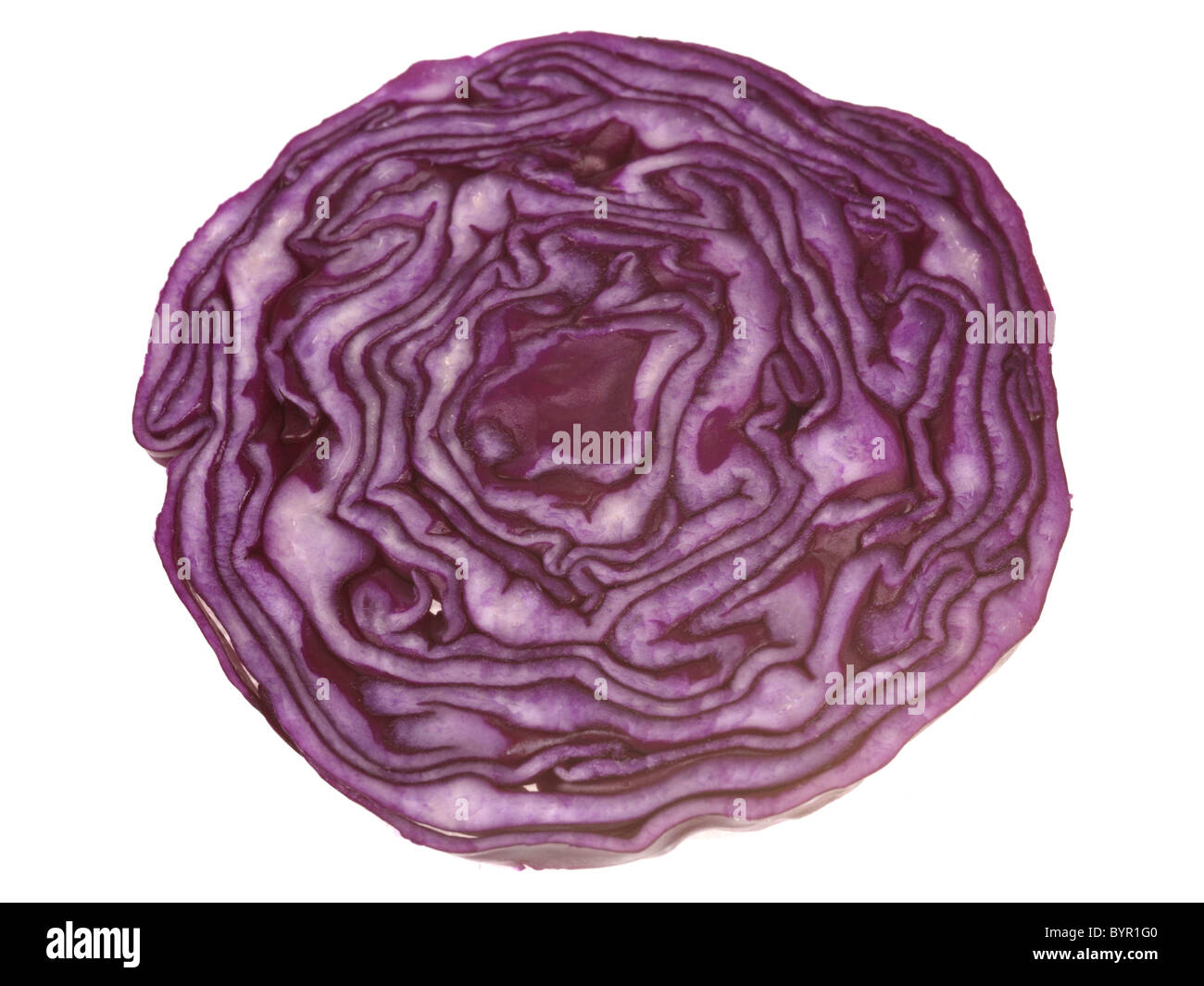 Cabbage ingredients Cut Out Stock Images & Pictures - Alamy