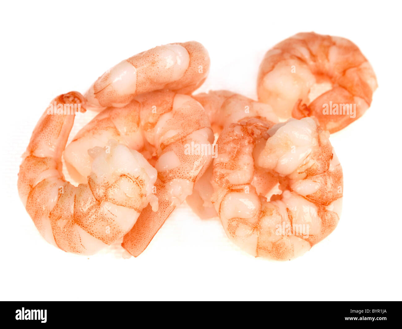 Prawns shellfish hi-res stock photography and images - Alamy