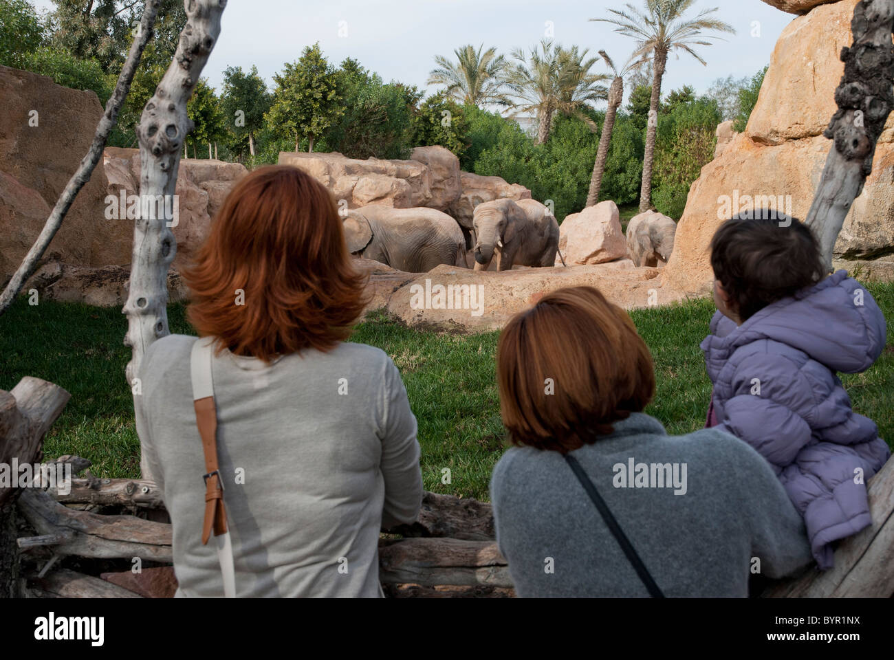 Spain zoo elephants hi-res stock photography and images - Alamy