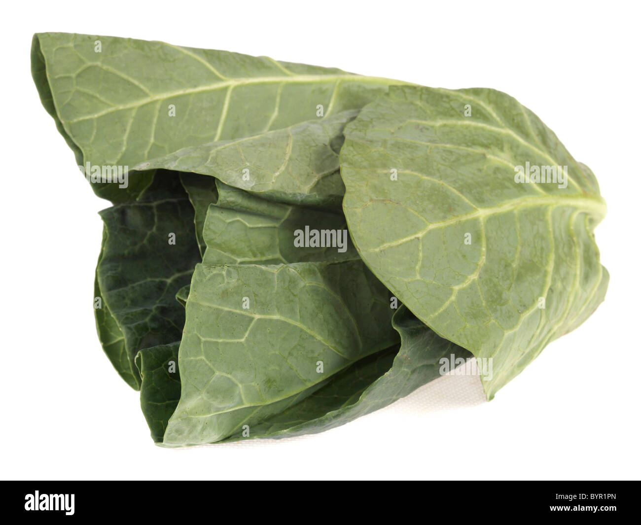 Fresh Raw Healthy Uncooked Spring Greens Vegetables With No People ...