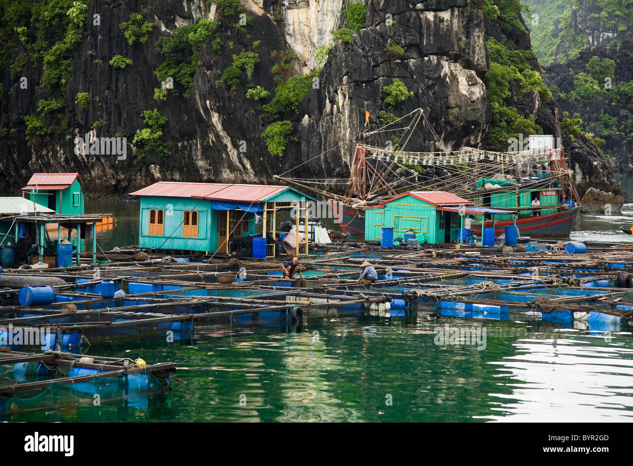 Floating fishing village. Ha Long Bay. Quảng Ninh province, Vietnam ...