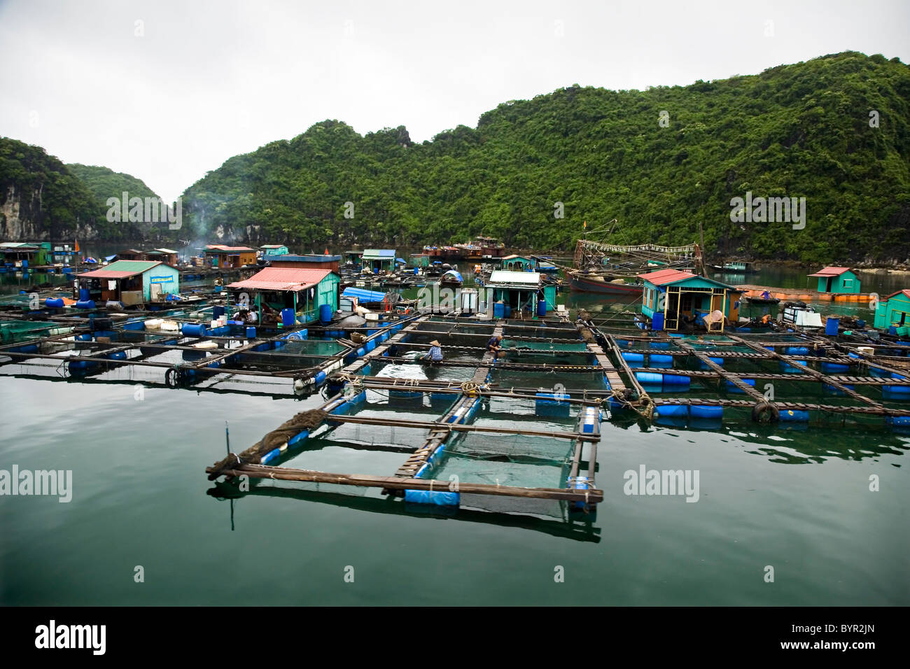 Floating fishing village. Ha Long Bay. Quảng Ninh province, Vietnam ...