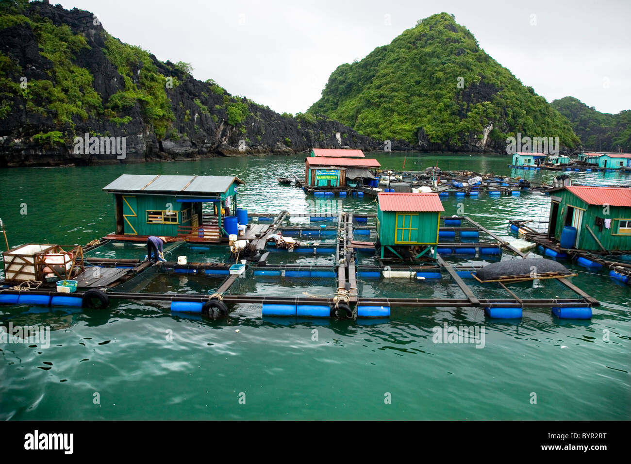 Floating fishing village. Ha Long Bay. Quảng Ninh province, Vietnam ...