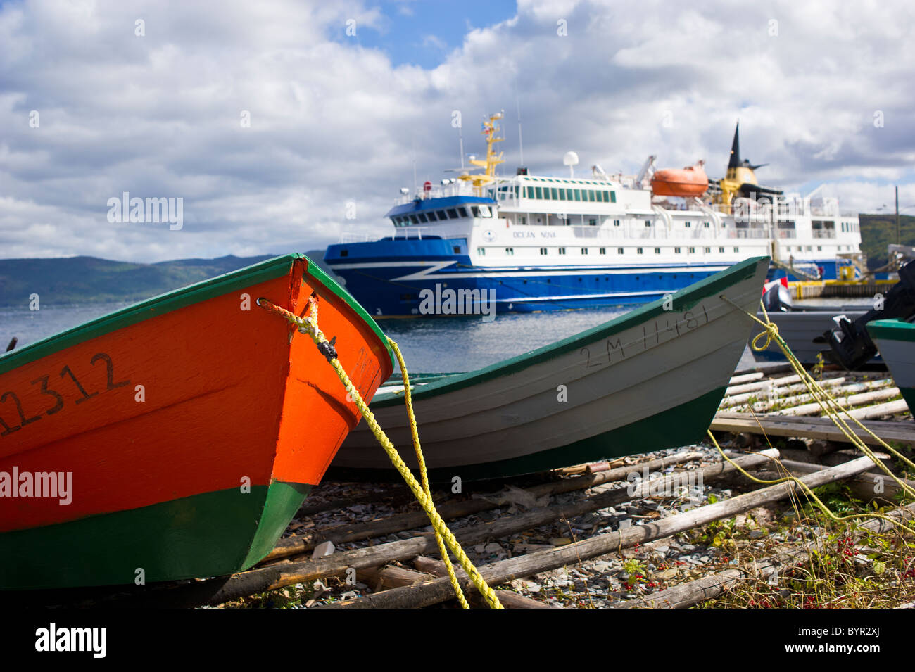 Orange dory hi-res stock photography and images - Alamy