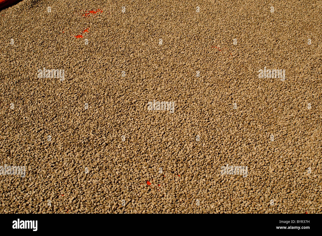 Coffee laos hi-res stock photography and images - Alamy