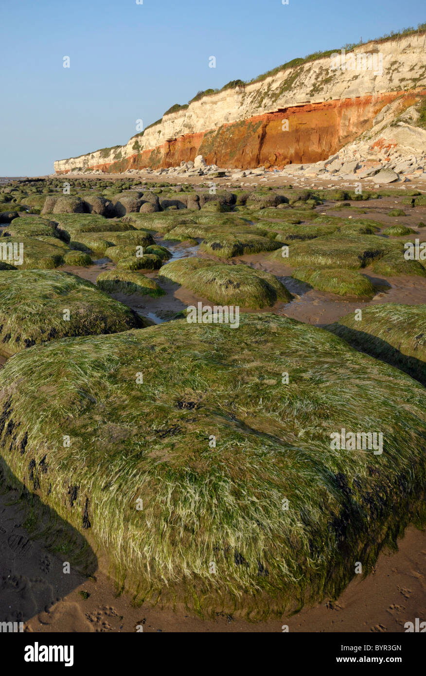 The cliffs and beach at Old Hunstanton in Norfolk Stock Photo - Alamy