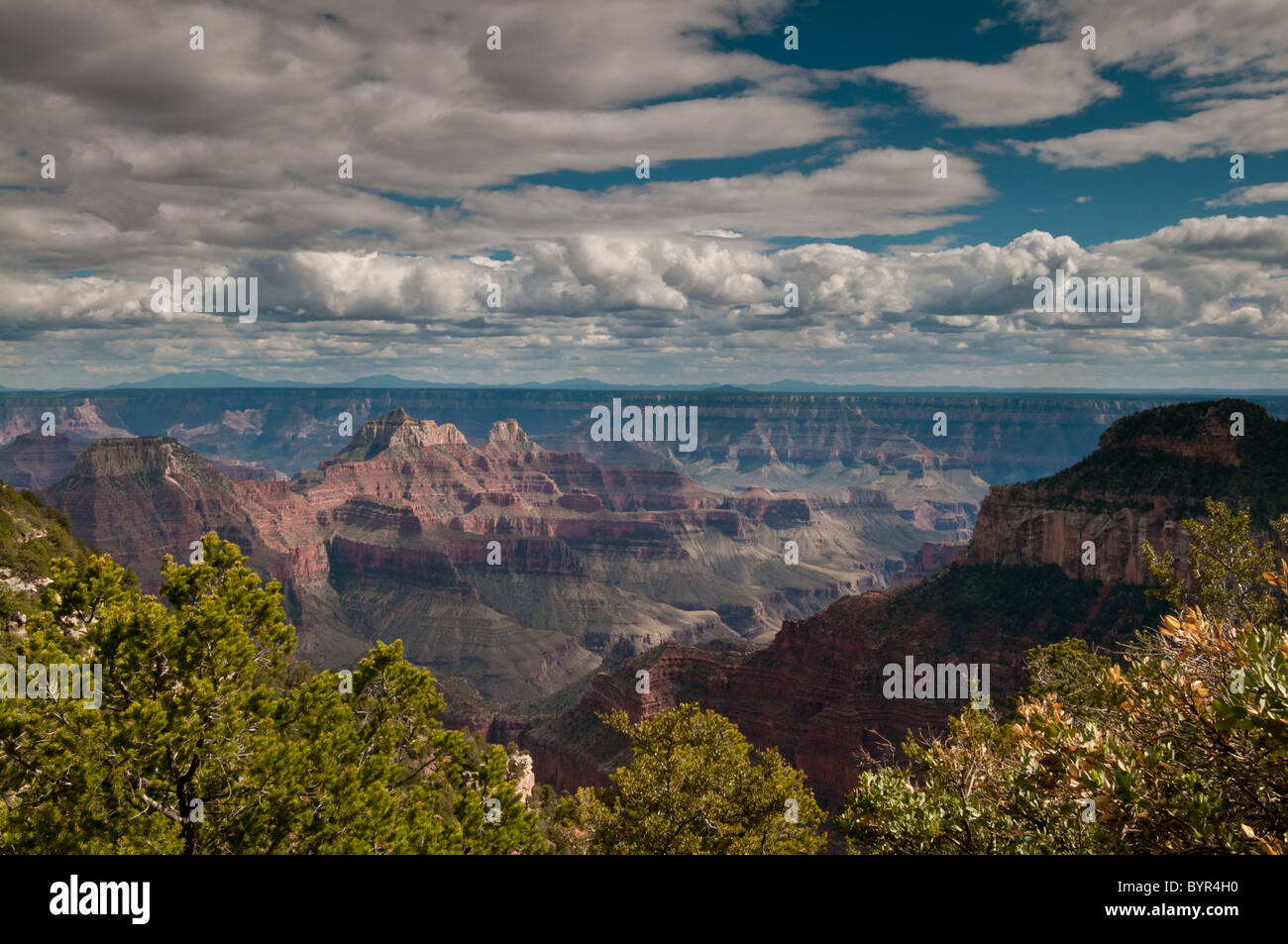 Storm clouds gather over the North Rim of the Grand Canyon Stock Photo ...