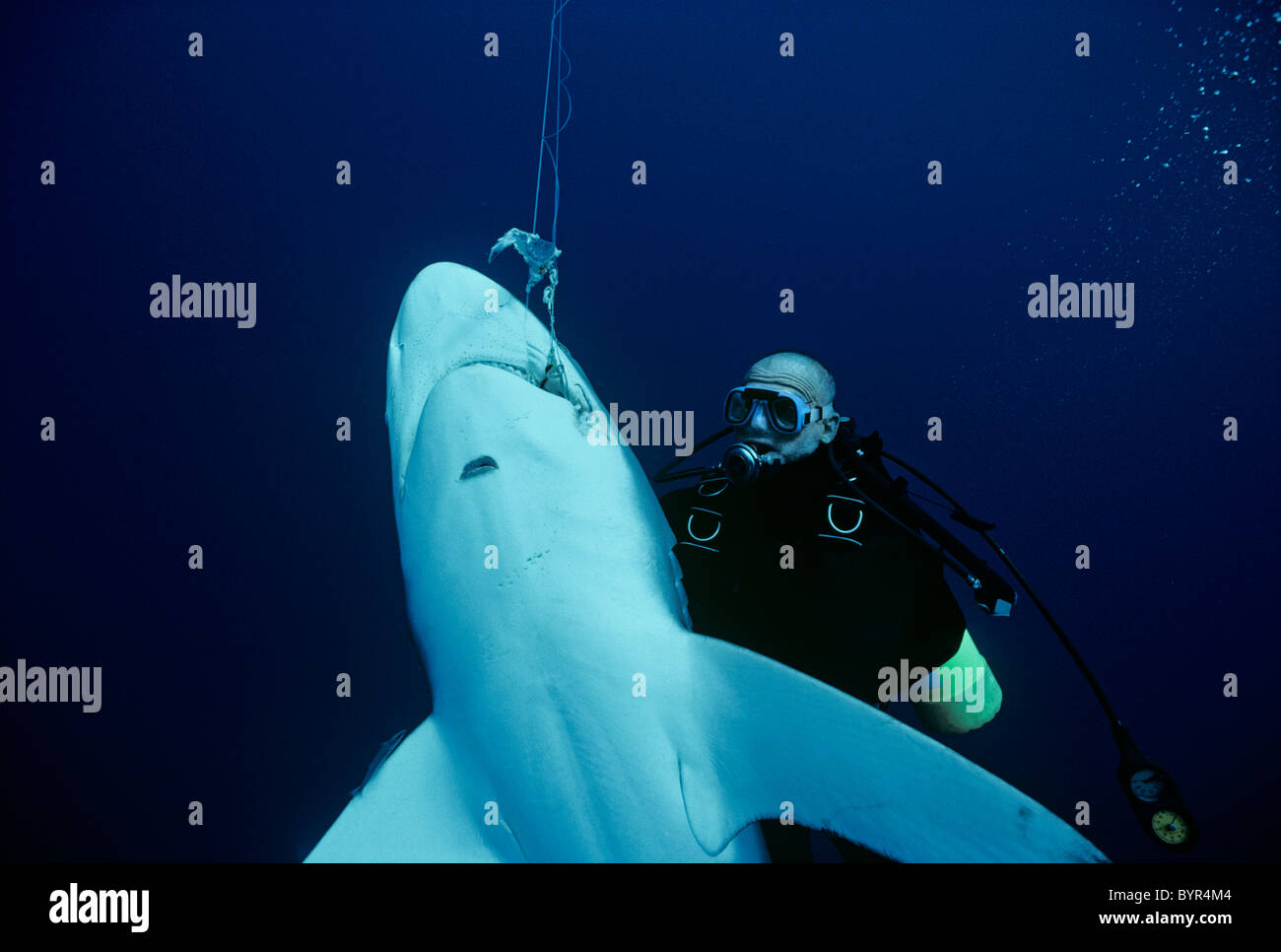 Hooked teeth hi-res stock photography and images - Alamy