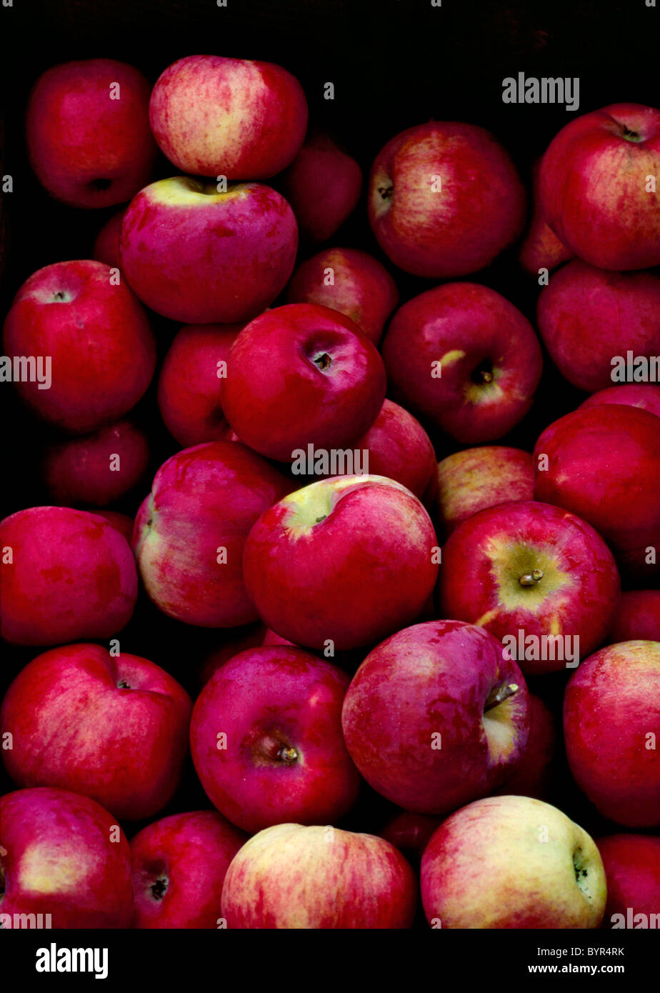 More apples hi-res stock photography and images - Alamy