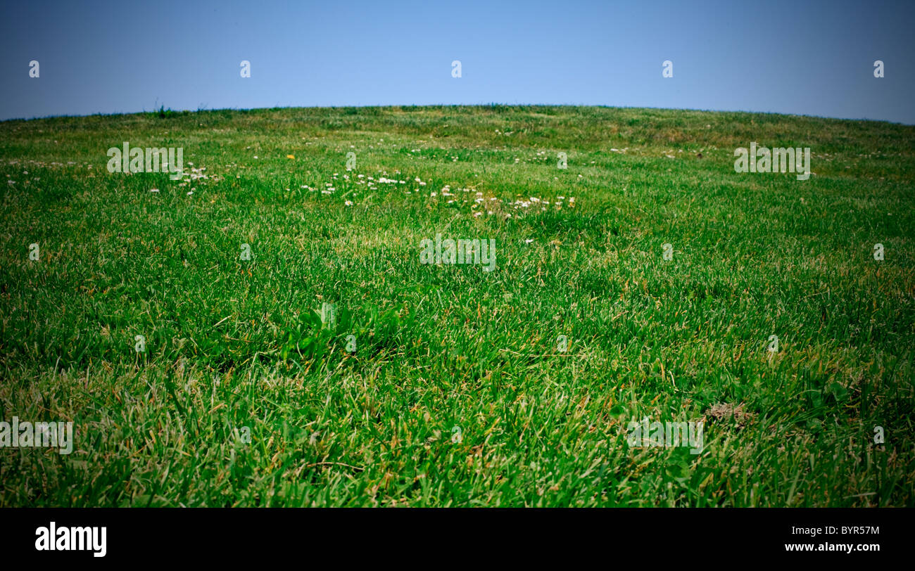 grassy hill in summertime Stock Photo - Alamy