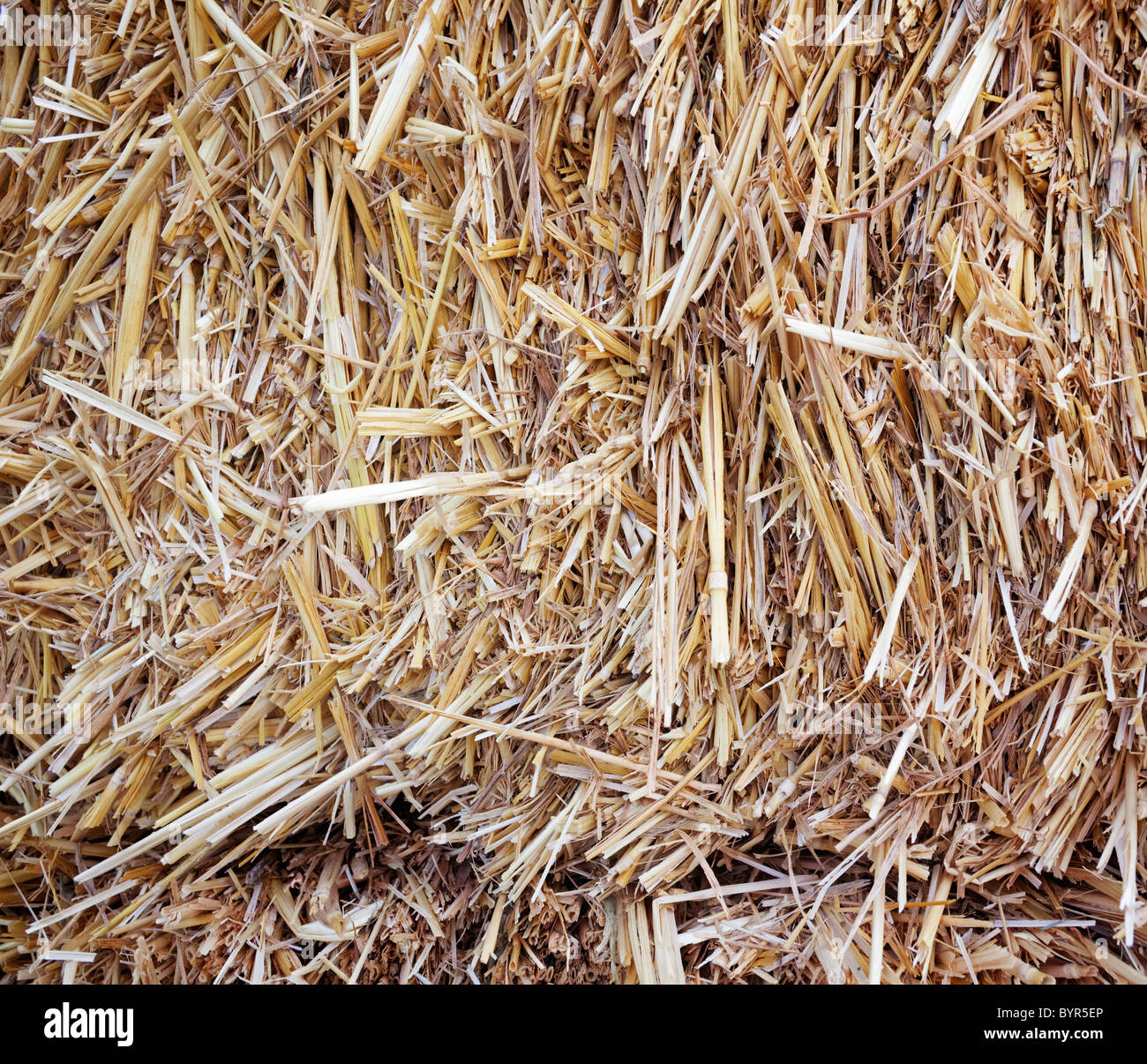 detail of bale of hay Stock Photo - Alamy