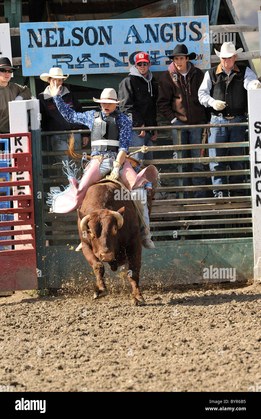 Bull Riding, Rodeo, Salmon, Idaho Stock Photo - Alamy