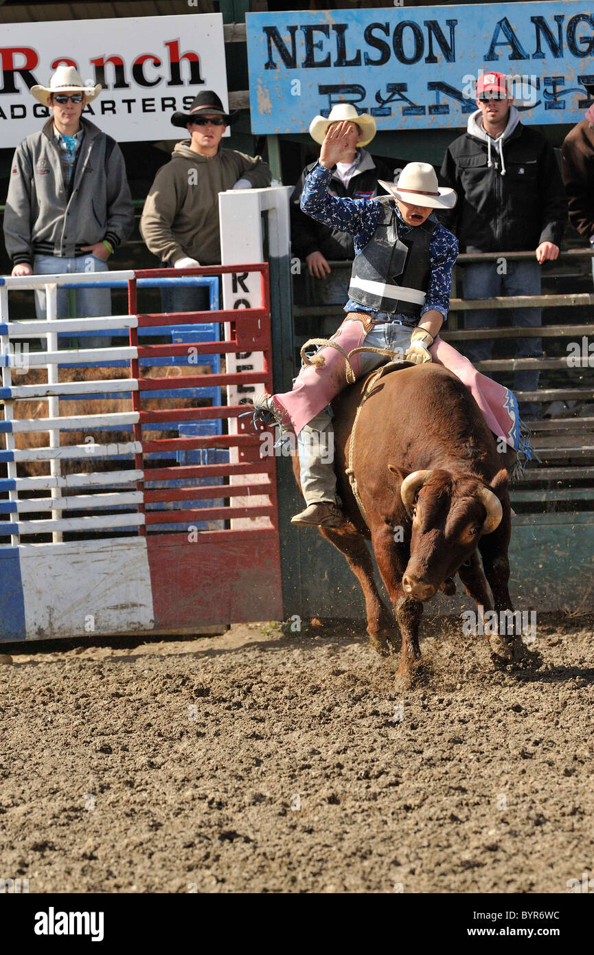 Bull Riding, Rodeo, Salmon, Idaho Stock Photo - Alamy