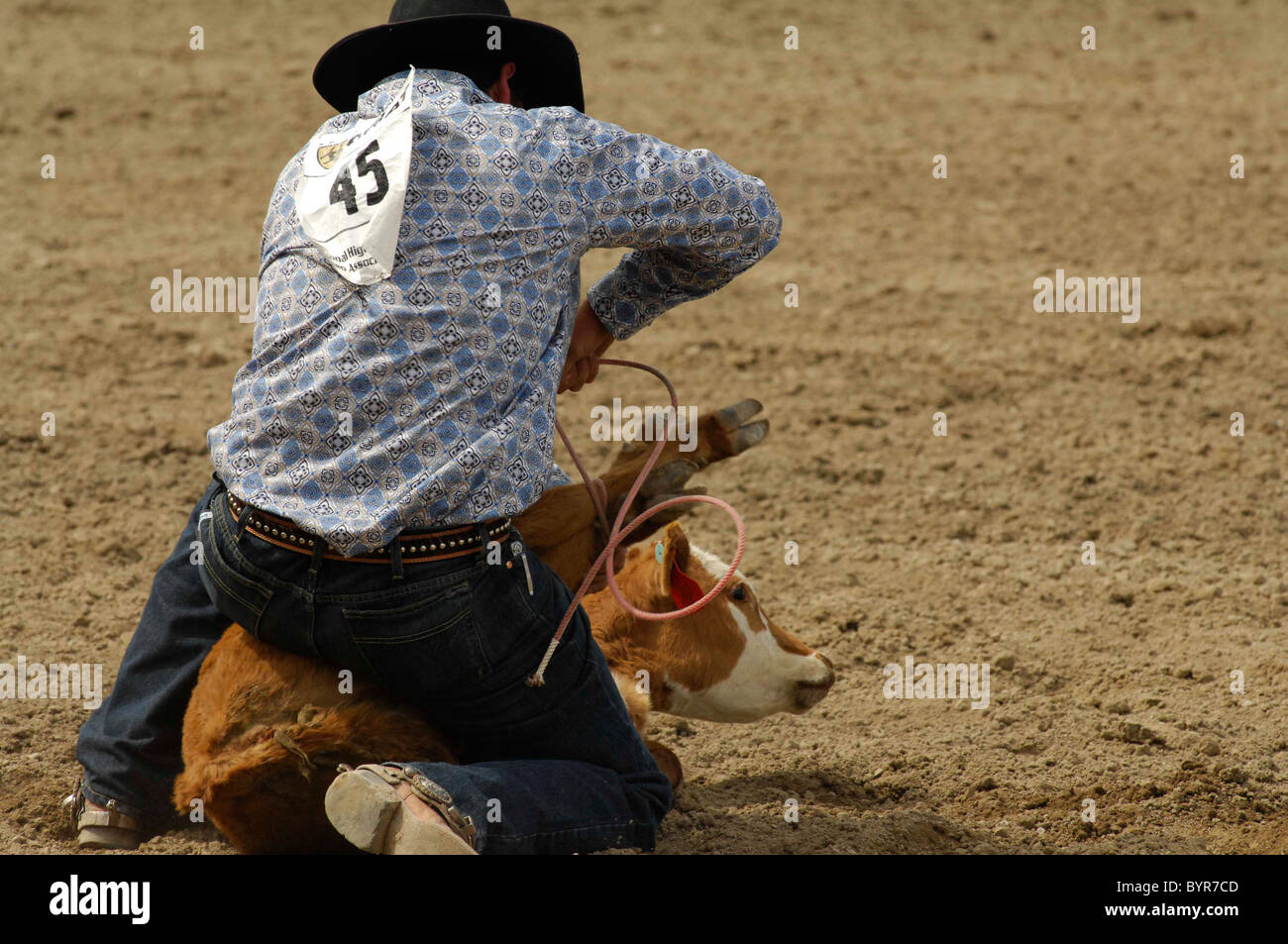 Team Roping, Tie-Down Roping, Calf Roping Stock Photo - Alamy