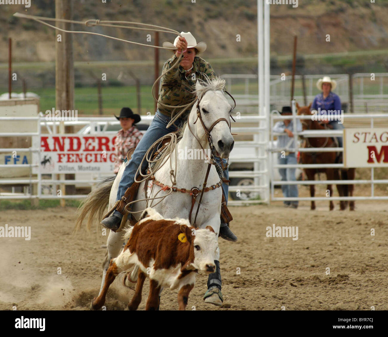Team Roping, Tie-Down Roping, Calf Roping Stock Photo - Alamy