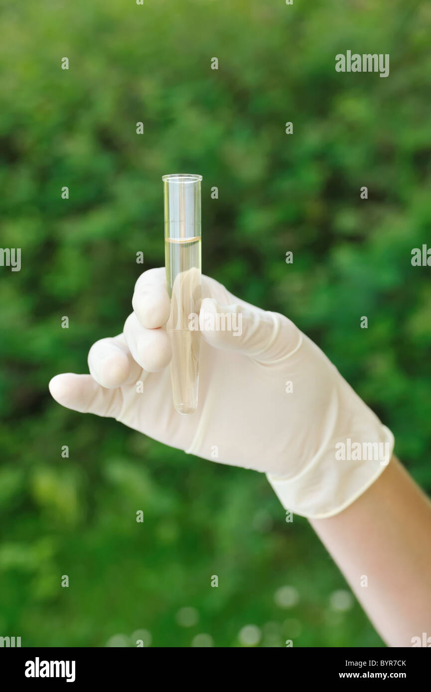 Hand holding test tube with water - research Stock Photo - Alamy
