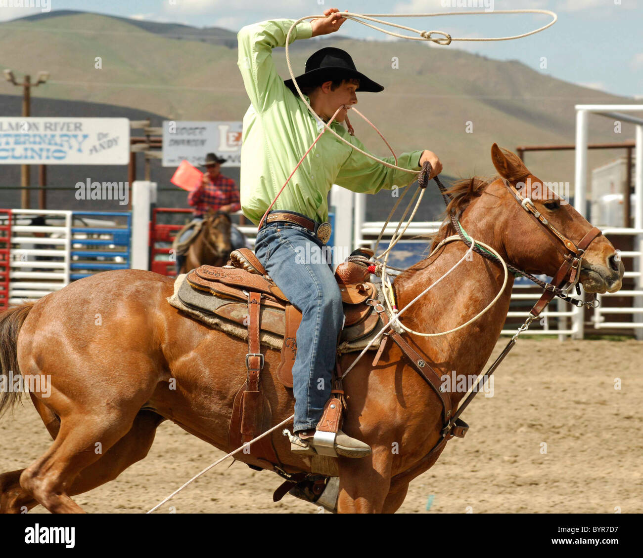 Team Roping, Tie-Down Roping, Calf Roping Stock Photo - Alamy