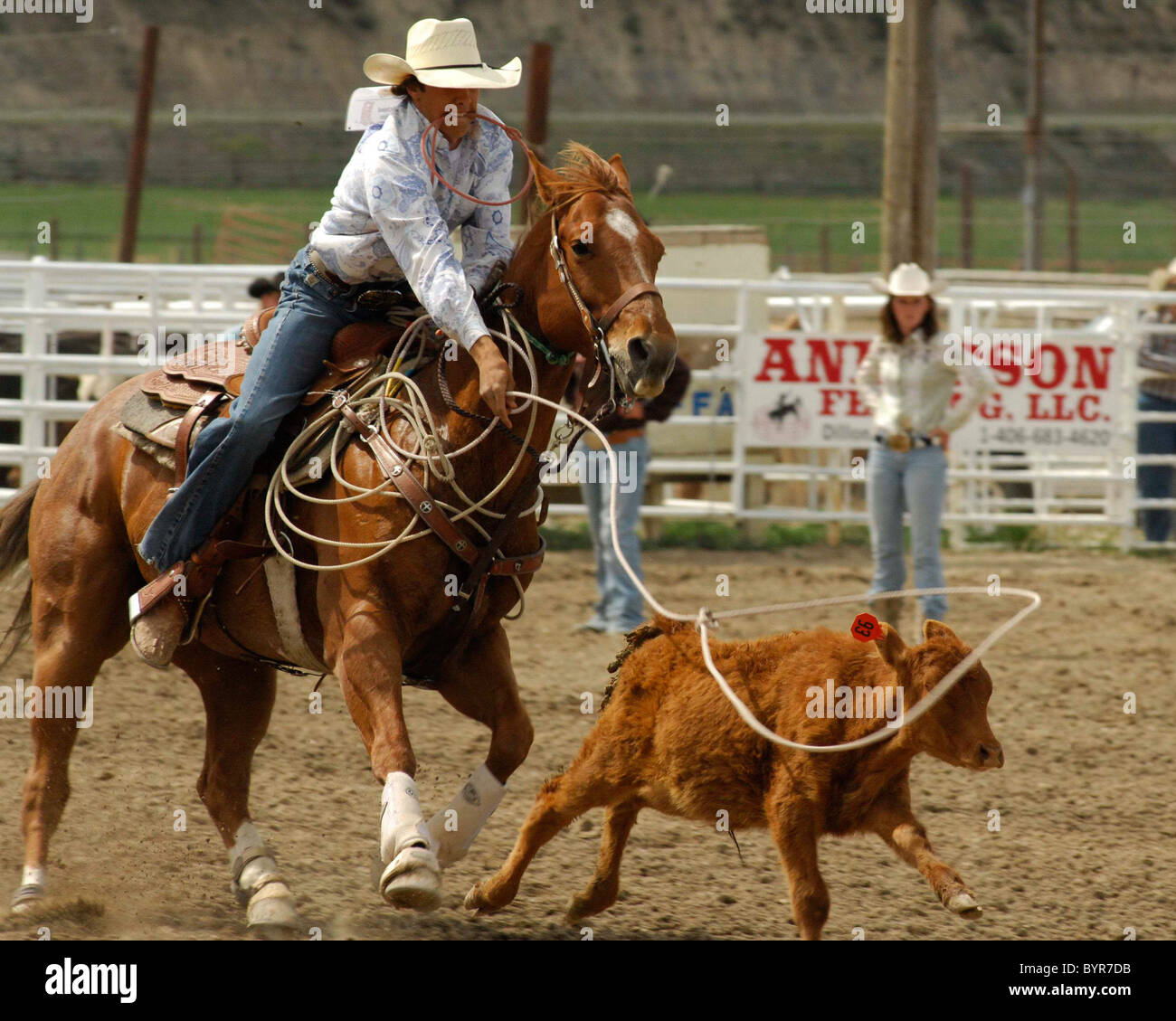 Team Roping, Tie-Down Roping, Calf Roping Stock Photo - Alamy