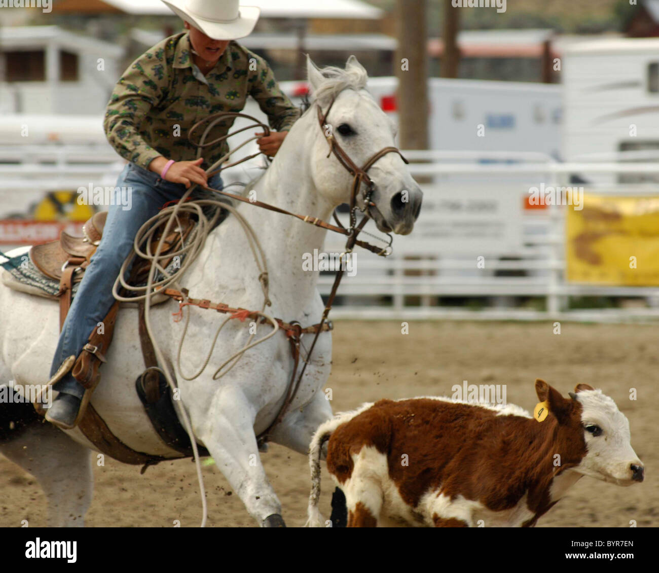 Team Roping, Tie-Down Roping, Calf Roping Stock Photo - Alamy