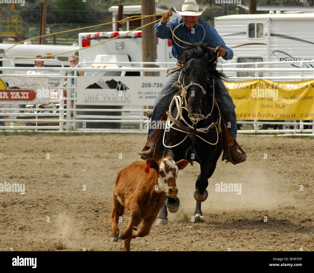 Team Roping, Tie-Down Roping, Calf Roping Stock Photo - Alamy