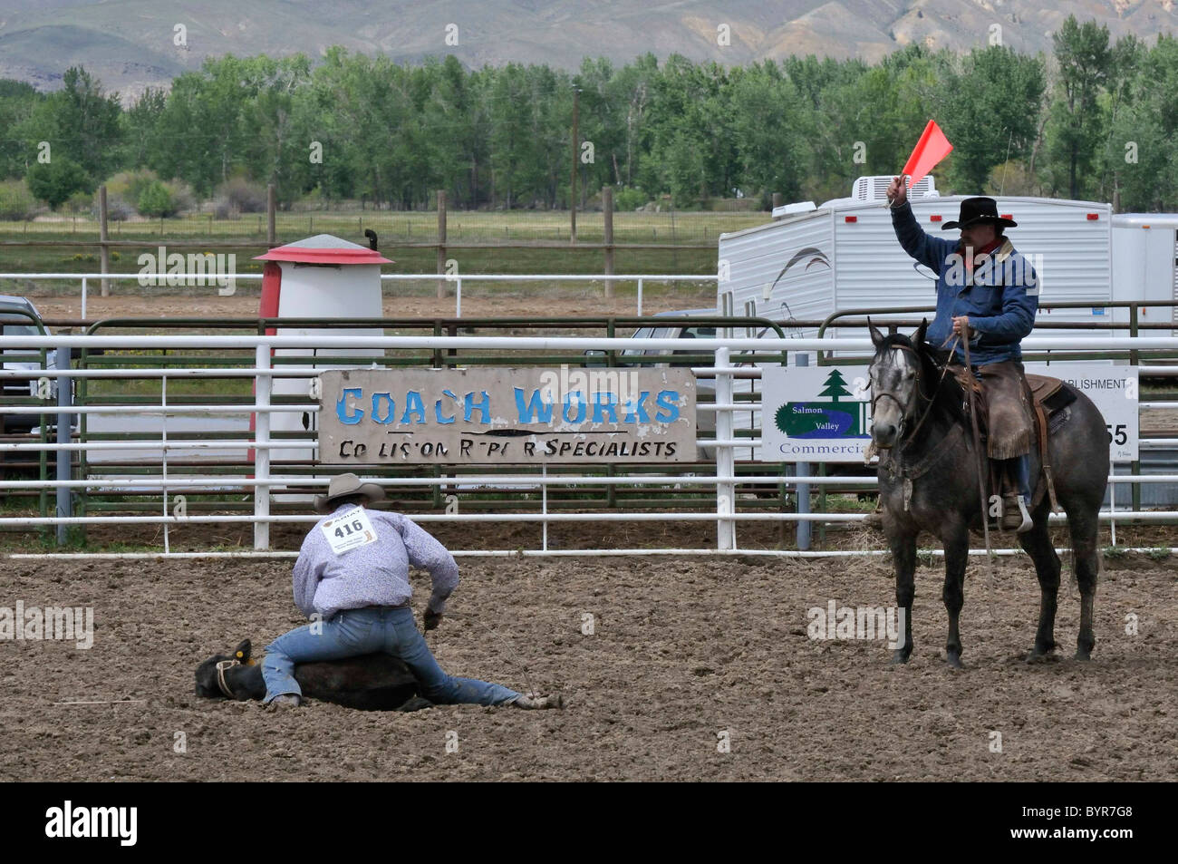 Team Roping, Tie-Down Roping, Calf Roping Stock Photo - Alamy