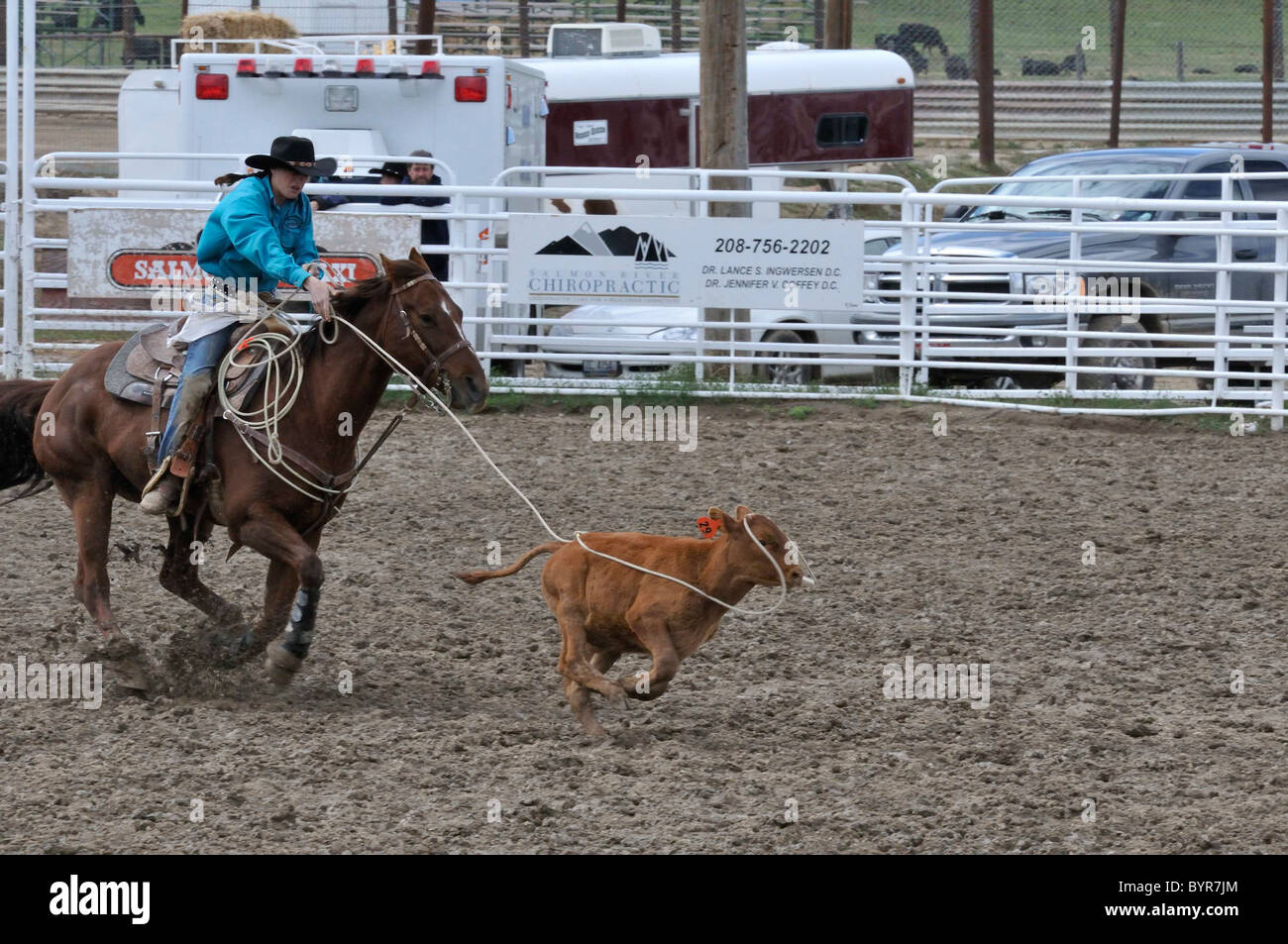 Team Roping, Tie-Down Roping, Calf Roping Stock Photo - Alamy