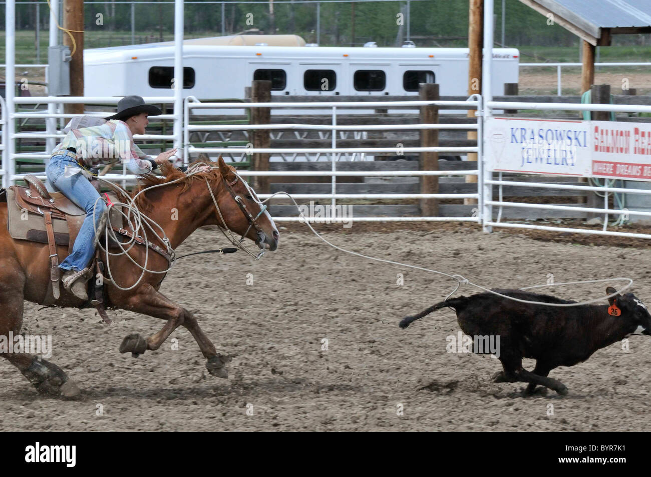 Team Roping, Tie-Down Roping, Calf Roping Stock Photo - Alamy