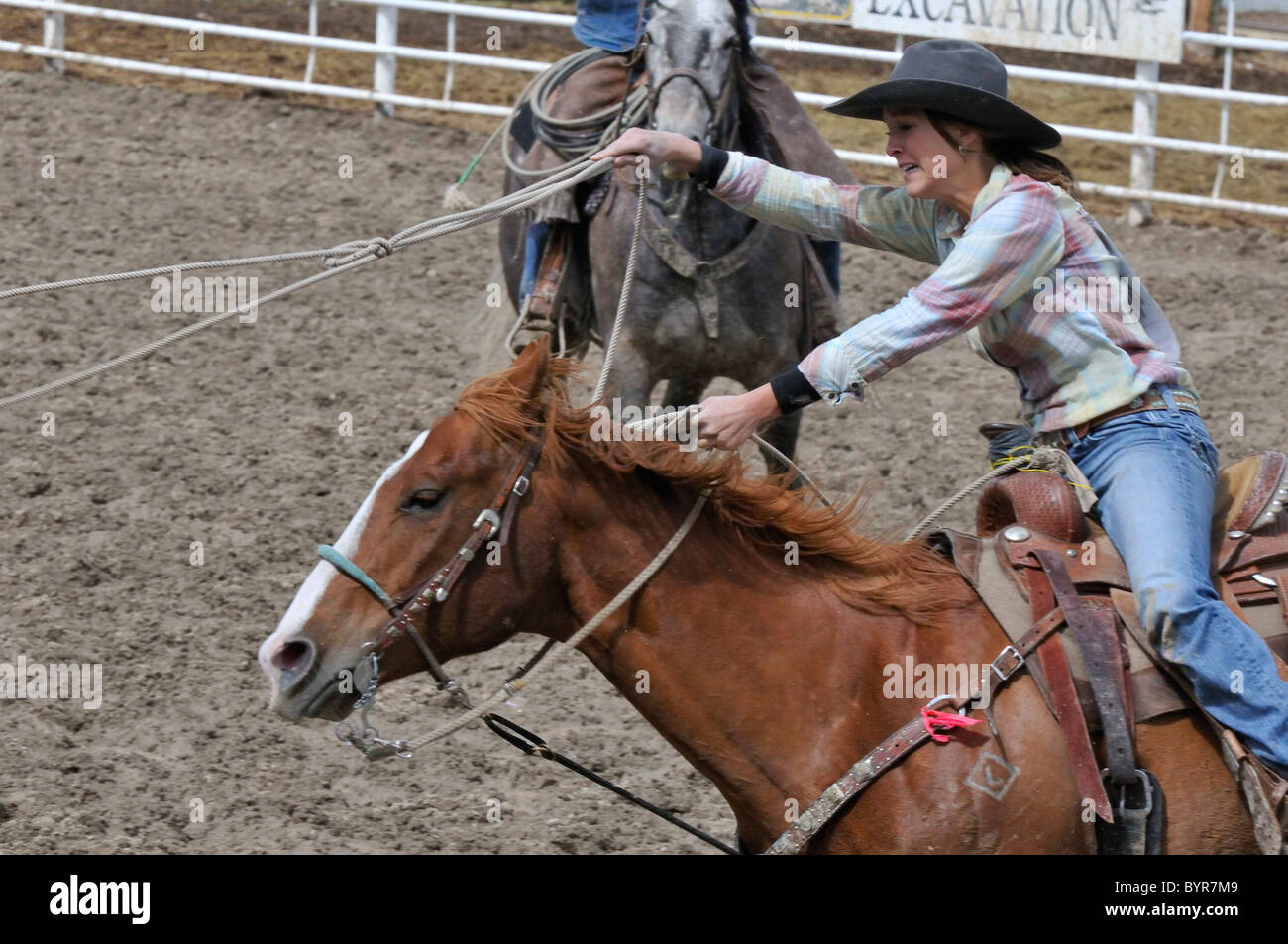 Girl roping calf hi-res stock photography and images - Alamy
