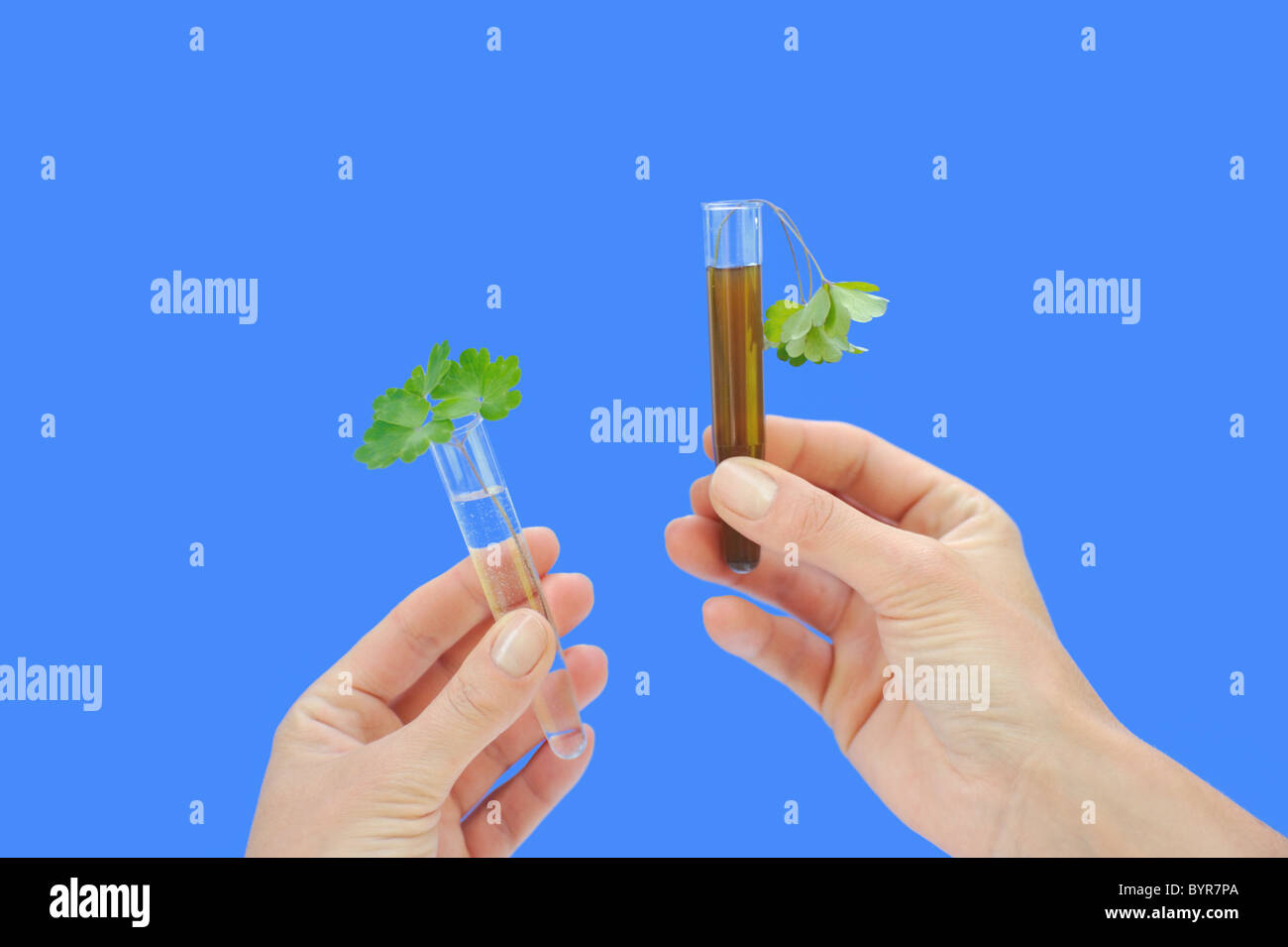 Plastic waste samples hi-res stock photography and images - Alamy