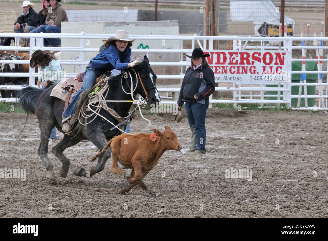 Team Roping, Tie-Down Roping, Calf Roping Stock Photo - Alamy