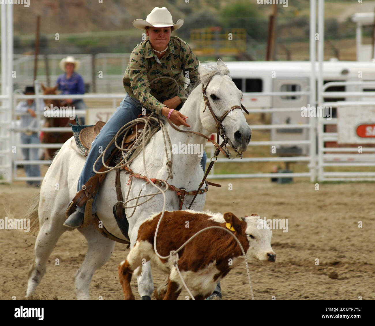 Team Roping, Tie-Down Roping, Calf Roping Stock Photo - Alamy
