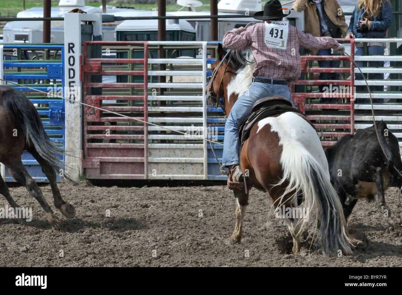 Team Roping, Tie-Down Roping, Calf Roping Stock Photo - Alamy