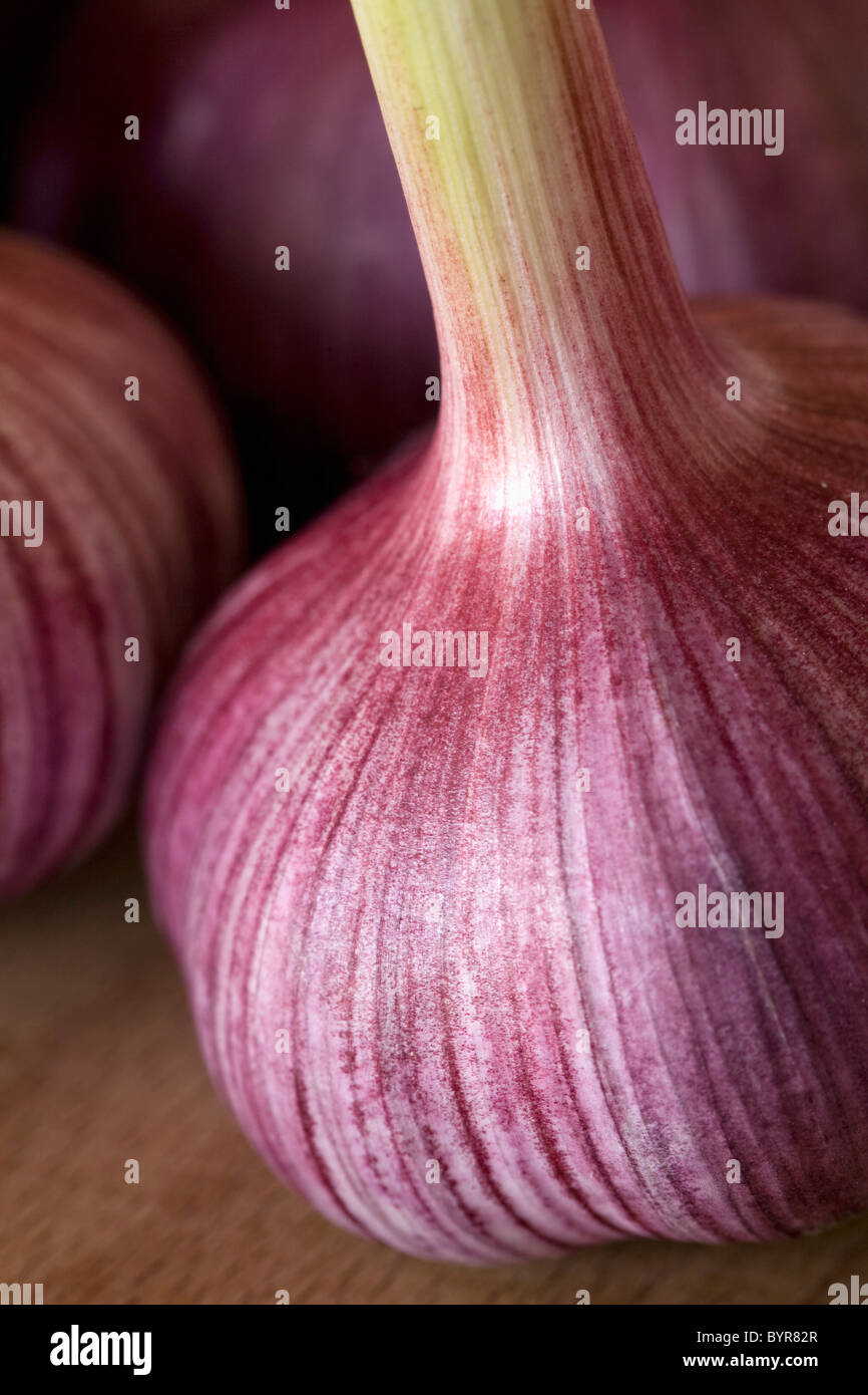 Farming bulbs hi-res stock photography and images - Alamy