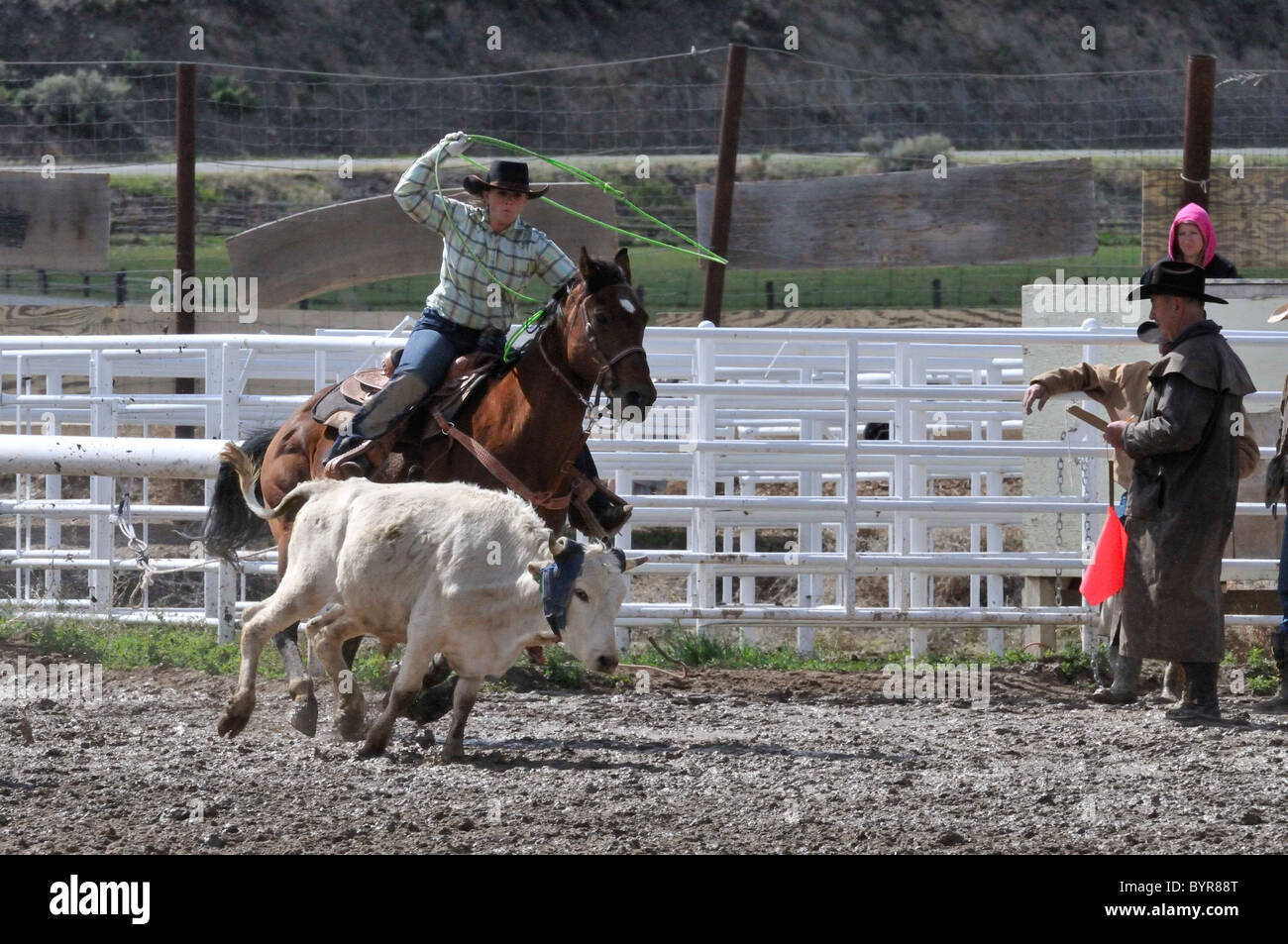 Calf Roping, Tie-Down Roping, Rodeo, Salmon, Idaho Stock Photo - Alamy
